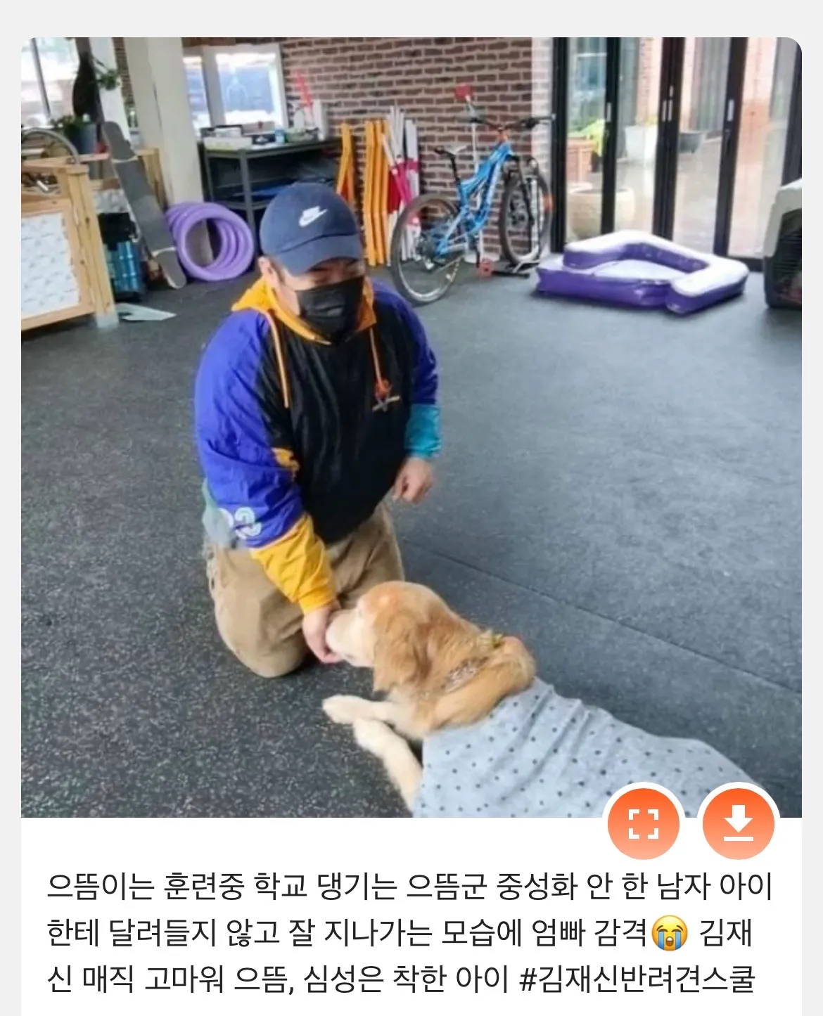 🌱교육 후기🌱 제주 독 트레이닝 센터 숨고 숨은고수