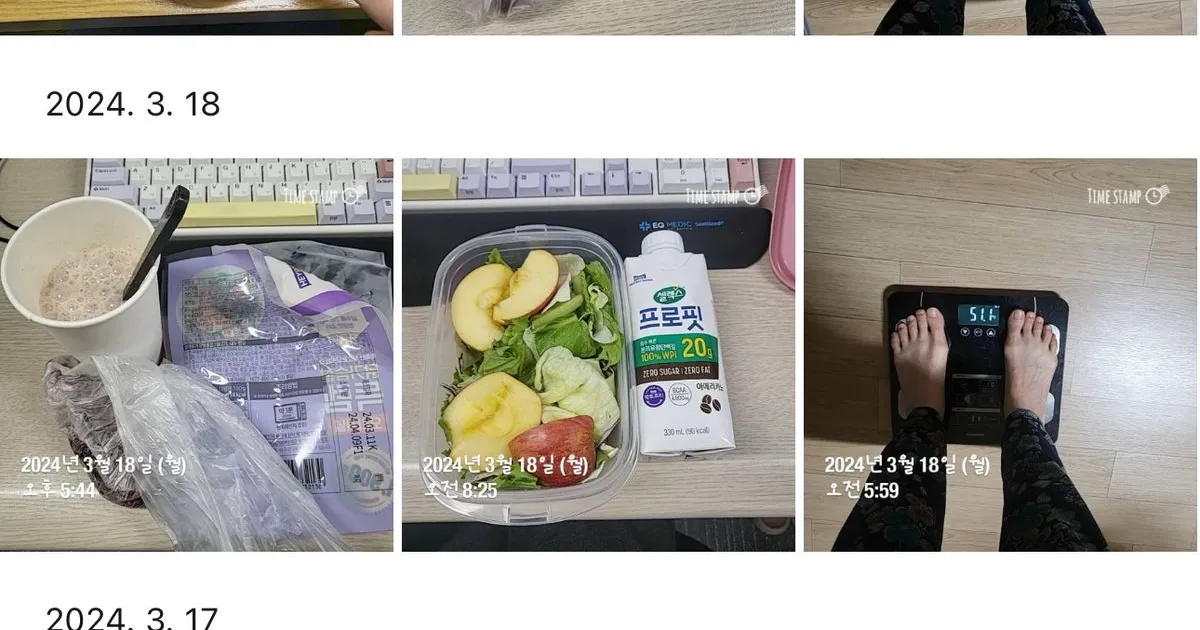 회원님 식단관리 박준형 숨고 숨은고수