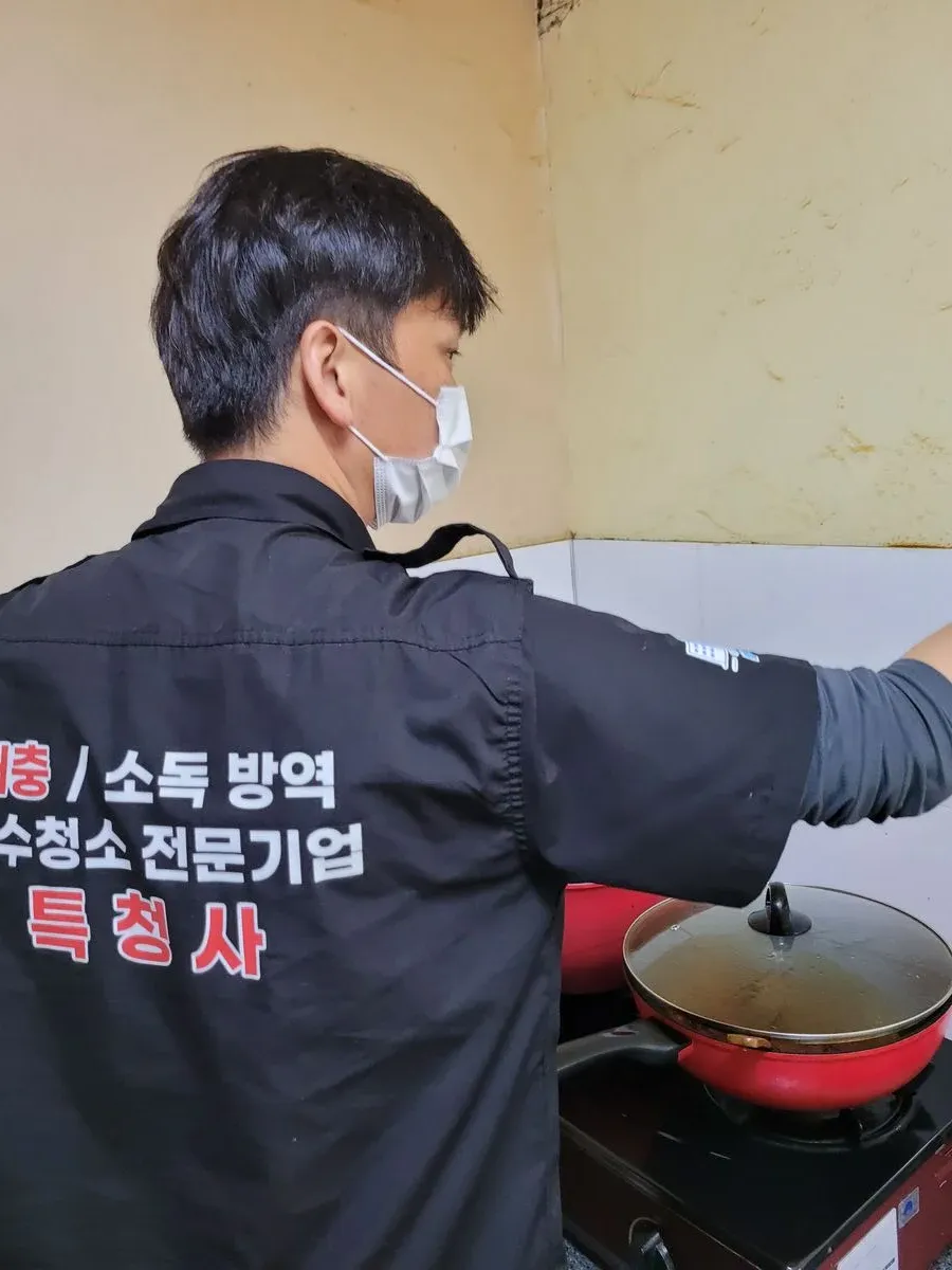 바퀴벌레퇴치 특청사 숨고 숨은고수