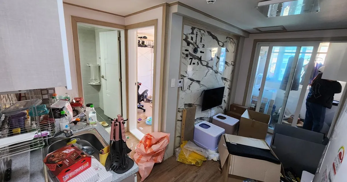 15룸 폐기물 처리 요청건 황소 숨고 숨은고수