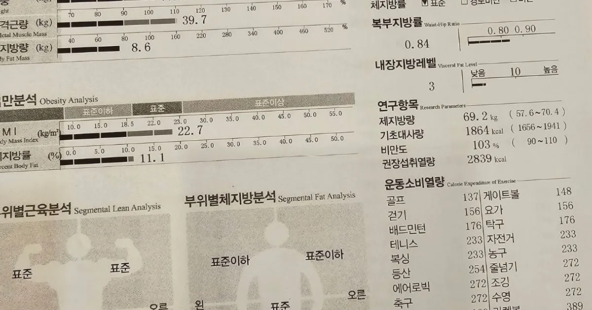 85kg 77kg까지 3개월과정 체지방7퍼감소 정영기 다산pt 숨고 숨은고수