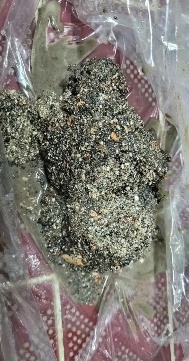 다세대 하수구 청소 클린투클린김웅구 숨고 숨은고수