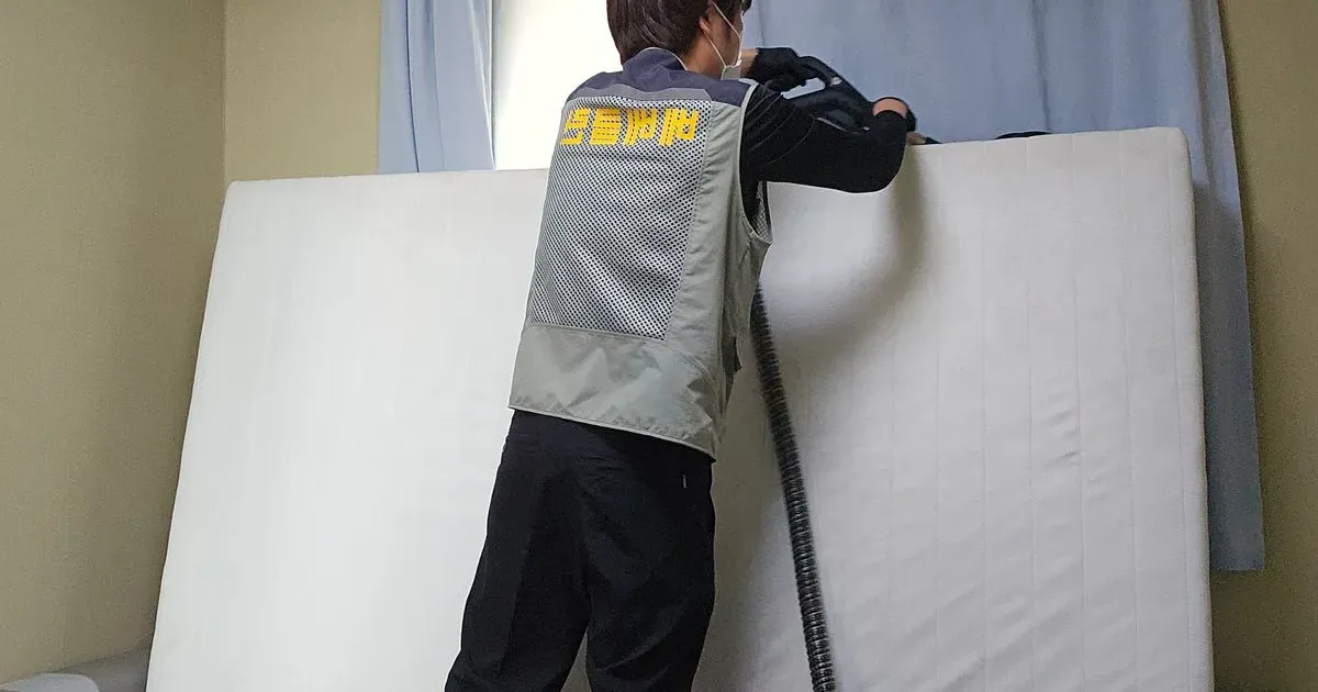 라텍스 매트리스 진드기 청소후 너무 좋아하세요~ 황동민 숨고 숨은고수