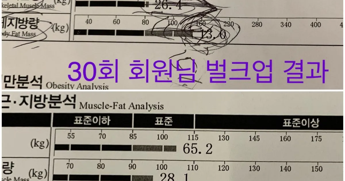 살찌우기 목표 남자회원 30회 결과 김은재 숨고 숨은고수