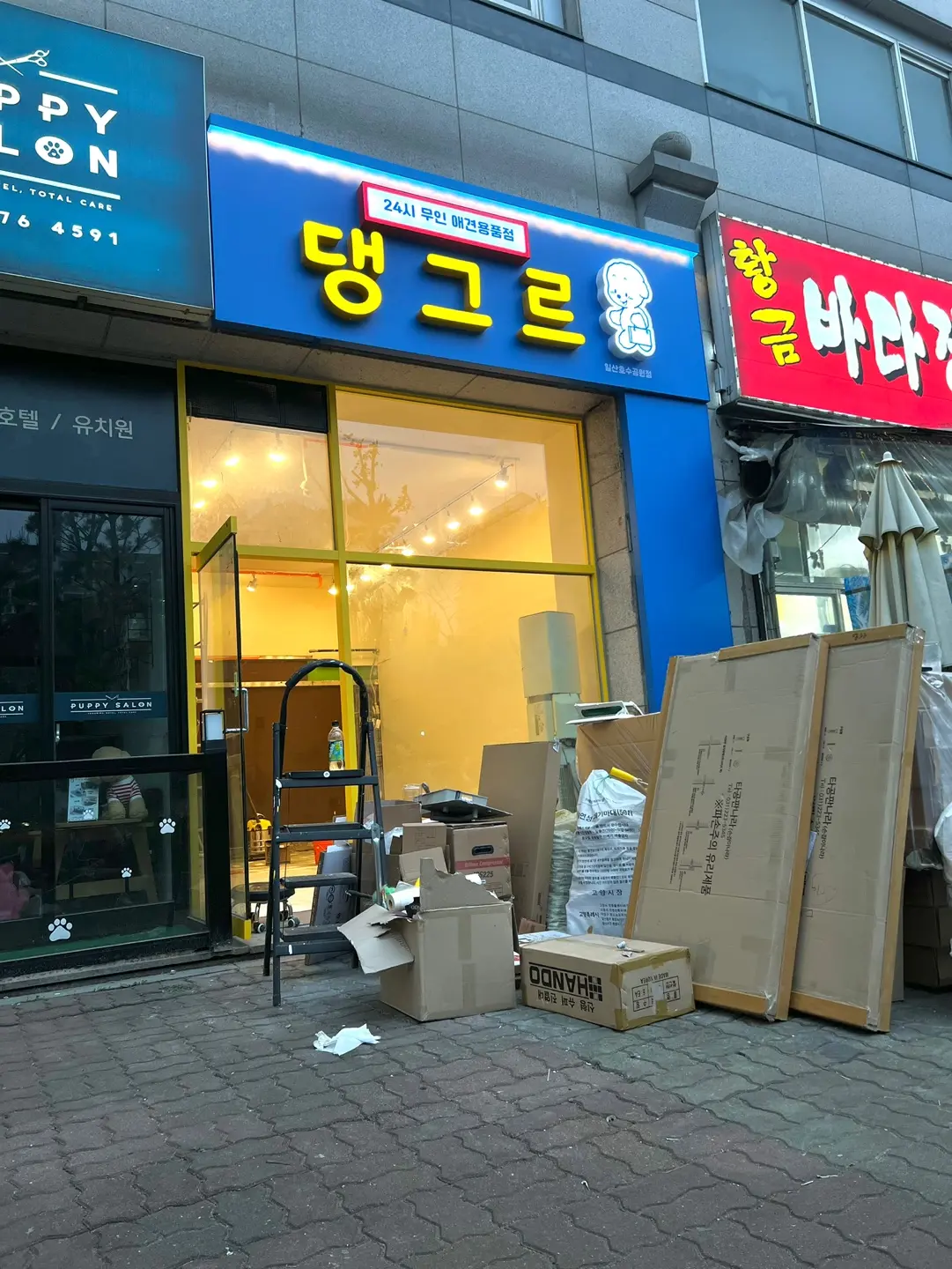 댕그르애견샾 제일광고 숨고 숨은고수
