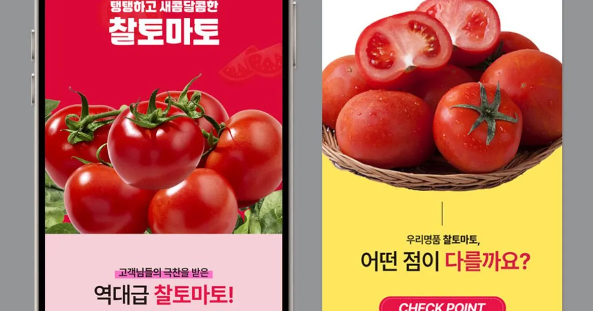 농축수산물 토마토 앨리스디자인공작소 숨고 숨은고수