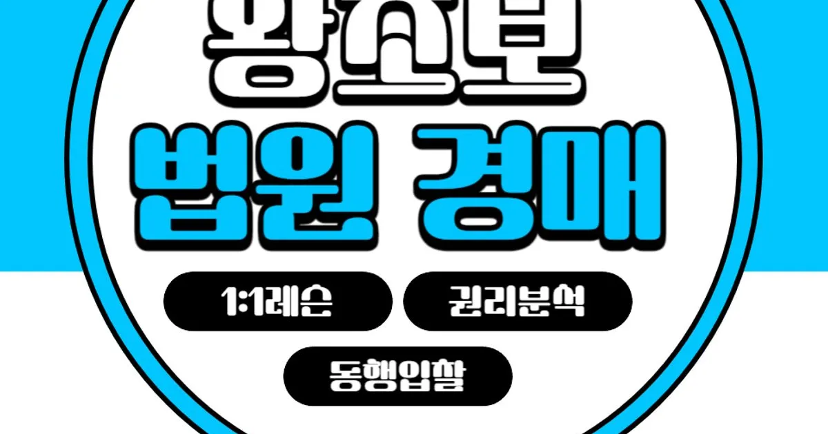 경매11레슨 물건검색 쉬운권리분석 동행입찰 임용삼 경매강의 권리분석 시세조사 동행입찰 임장 숨고 숨은고수