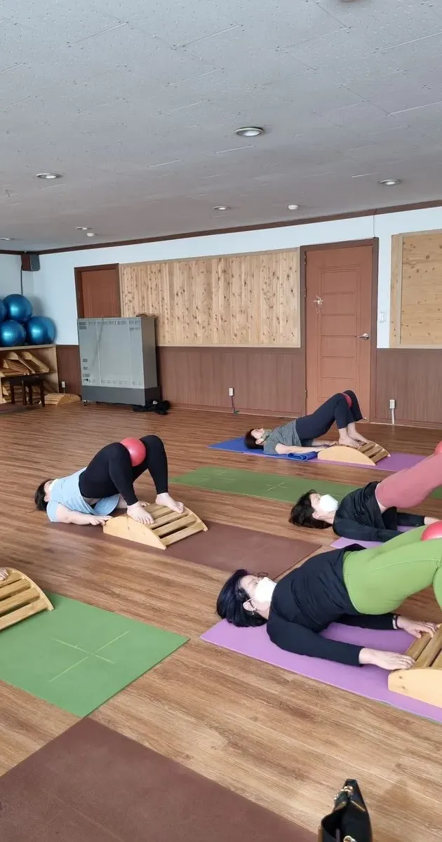 요가필라테스메디힐요가 정유현 숨고 숨은고수