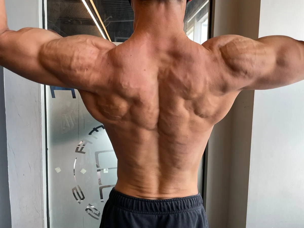 바디체크 / 백희수 - 숨고, 숨은고수