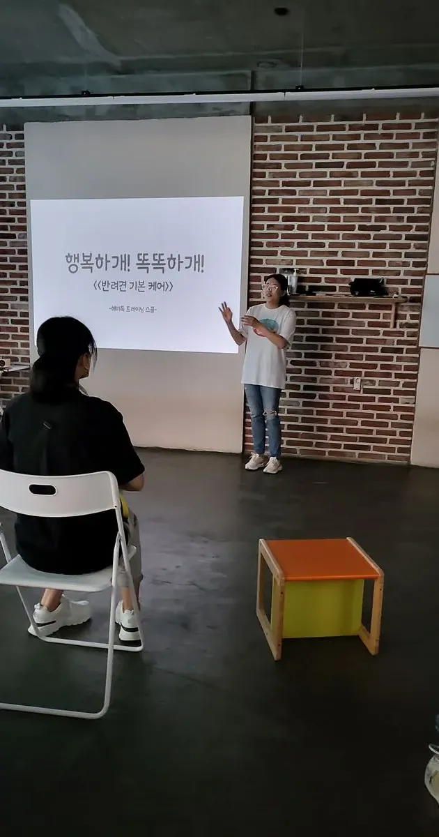 행복하개 똑똑하개 하남시 별자리학습공간 해피독 트레이닝 스쿨 숨고 숨은고수