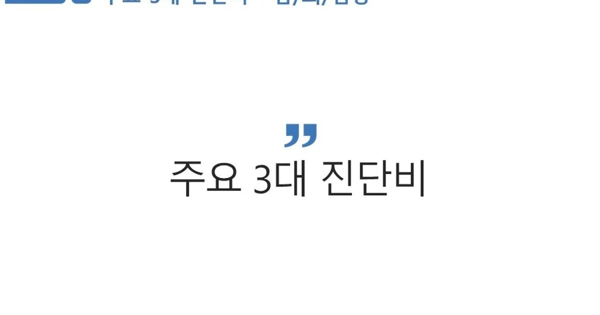 주요 3대 진단비암뇌심장 공유현 숨고 숨은고수