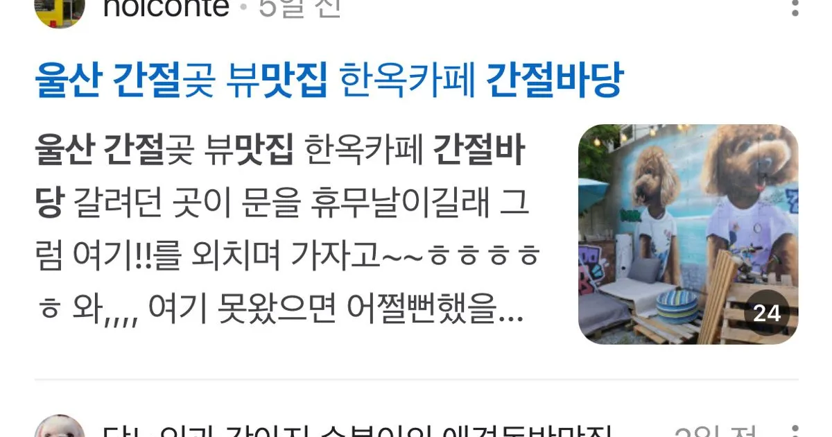 울산 맛집 애견동반 키워드 상위노출 주비드 숨고 숨은고수
