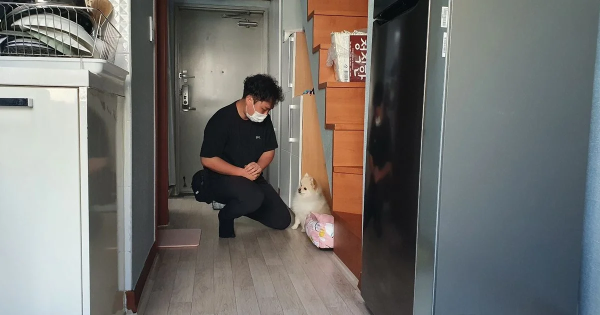 분리불안 교육 오윤성 숨고 숨은고수