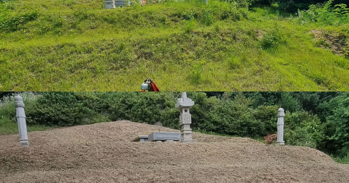 70평 벌초 서비스 조수범 숨고 숨은고수