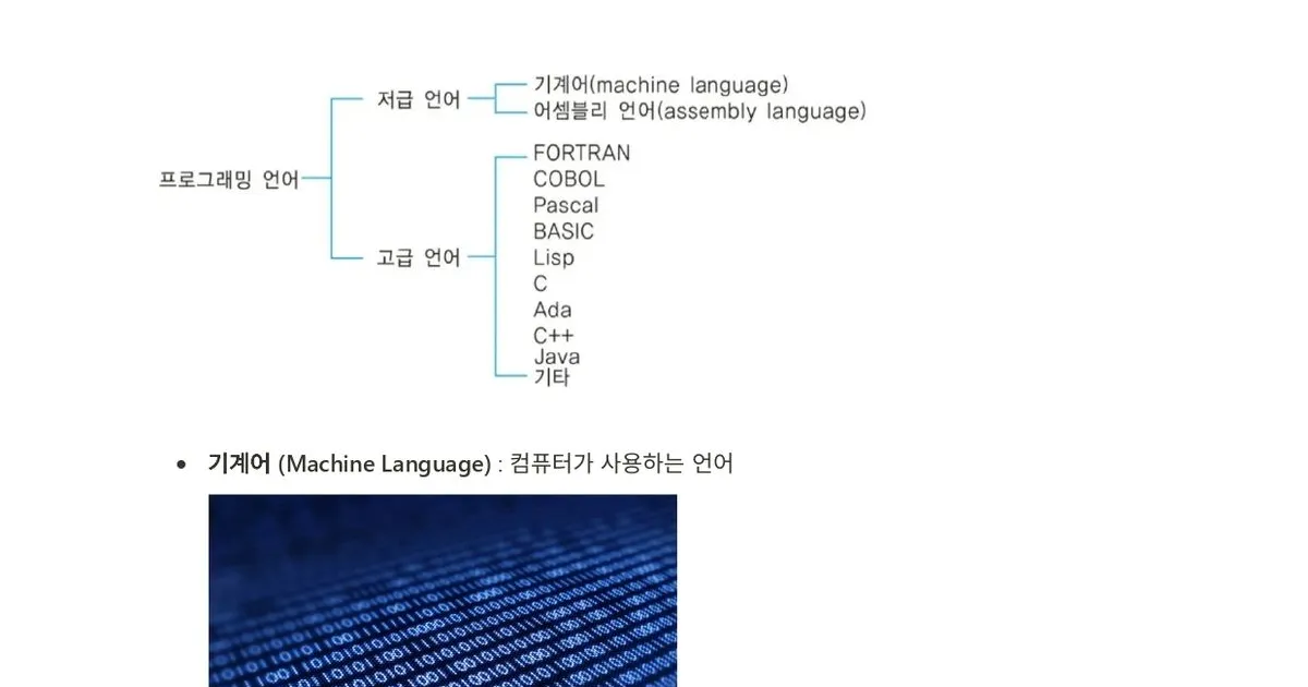 파이썬 기초수업 8회과정 과기대컴공생 숨고 숨은고수