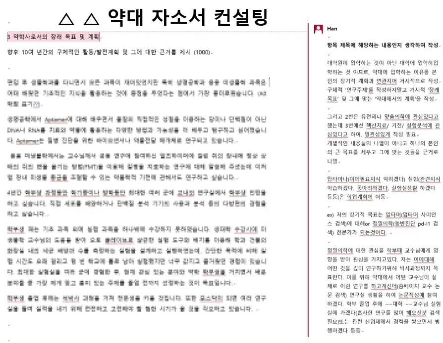 대학 입시 자소서학업계획서 컨설팅 샤연세닥터스 숨고 숨은고수