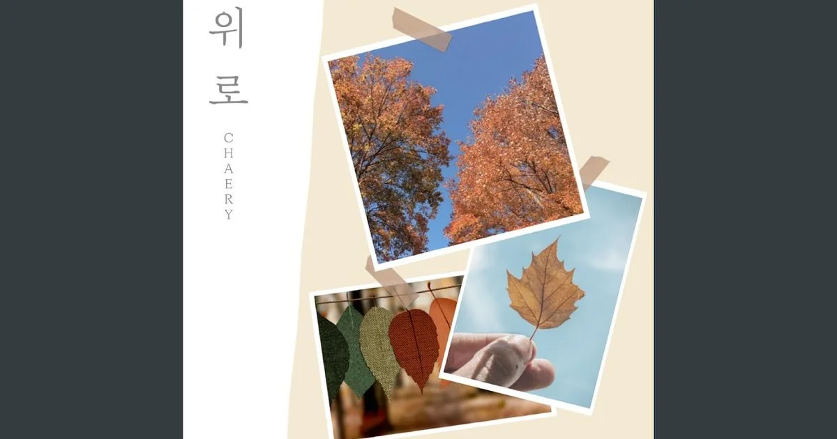 참여 프로젝트 이진호 숨고 숨은고수