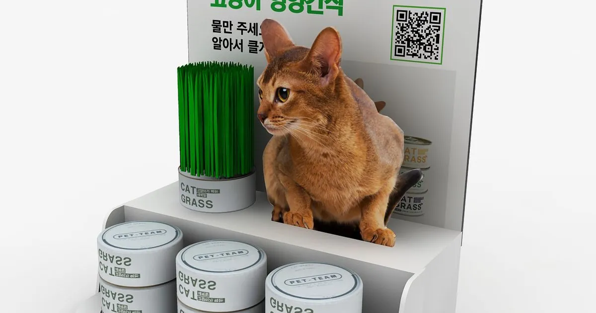 진열대 디자인 및 제작 박승만 숨고 숨은고수