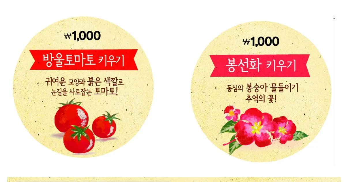 다이소 제품 패키지 디자인 4종 디자인 양실장 숨고 숨은고수