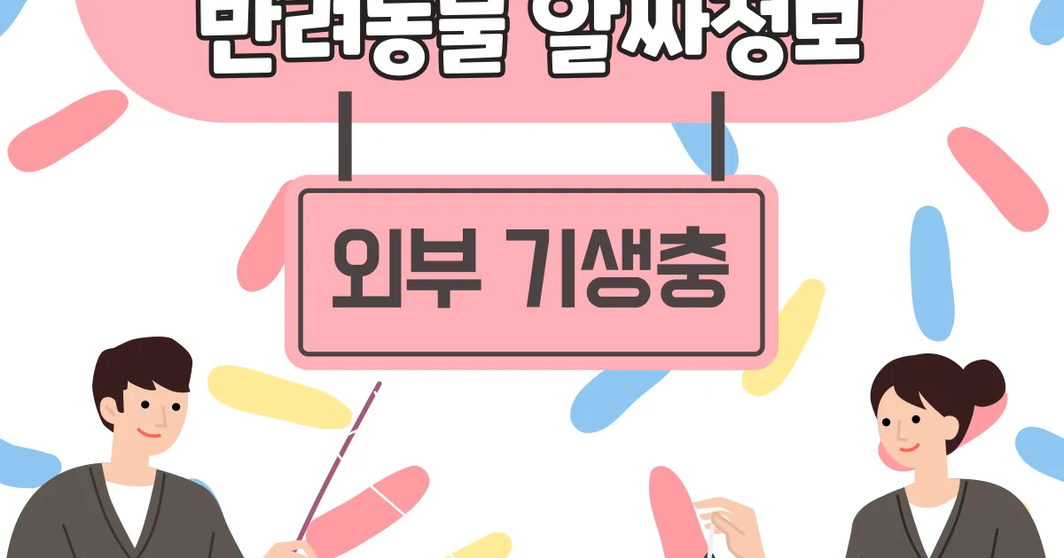 홍보물 말하는 감자라구요 숨고 숨은고수