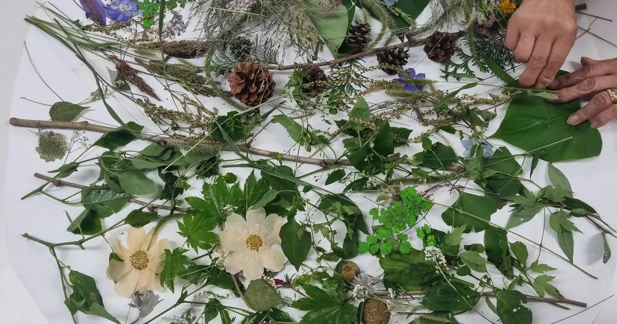 미술치료 미술치료사 숨고 숨은고수