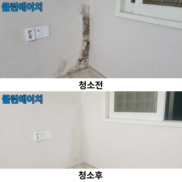 벽지 곰팡이 제거후기 클린에이치 숨고 숨은고수