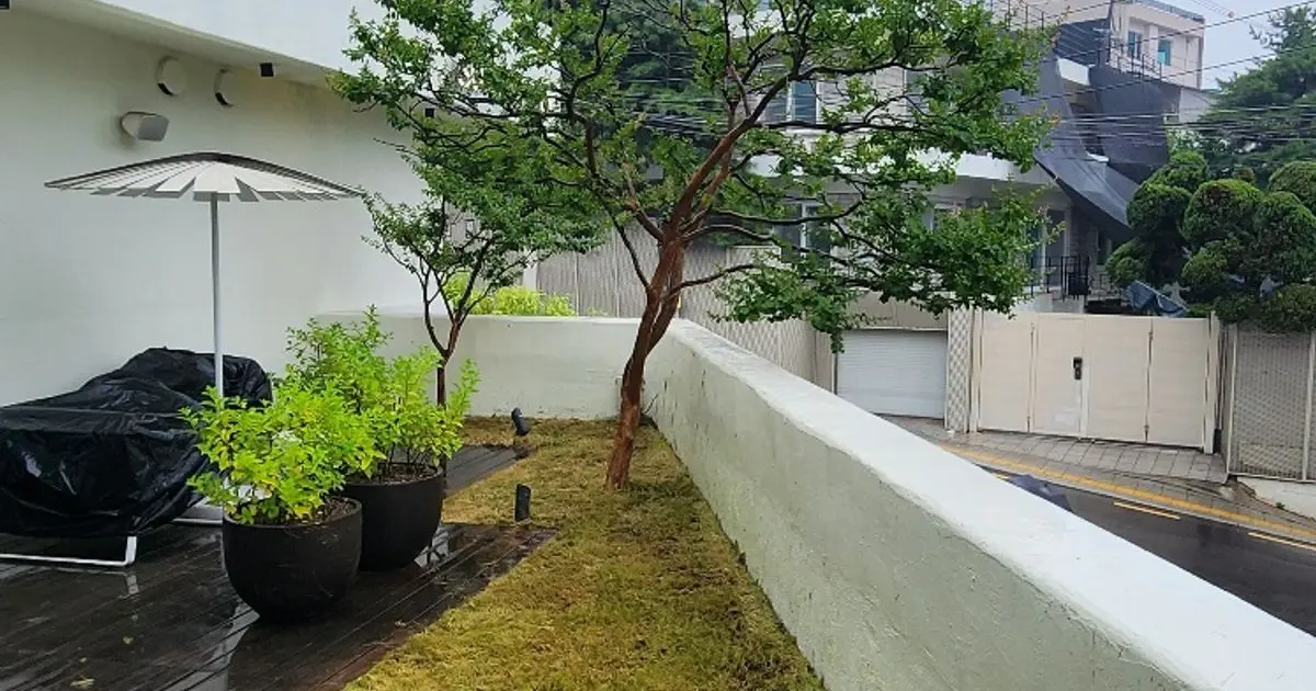 이태원 옷매장 앞 정원 잔디 예초벌초 클린박사 작업은 프로에게 맞겨주세요 숨고 숨은고수