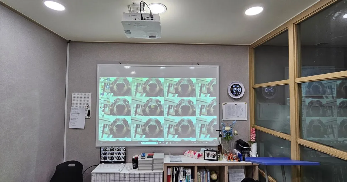 학원 단초점빔프로젝터 설치 아바 컴퍼니 숨고 숨은고수