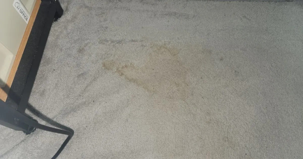 컴퓨터방 카펫 부분 얼룩제거 밑 습식스팀 케어 박태진 숨고 숨은고수