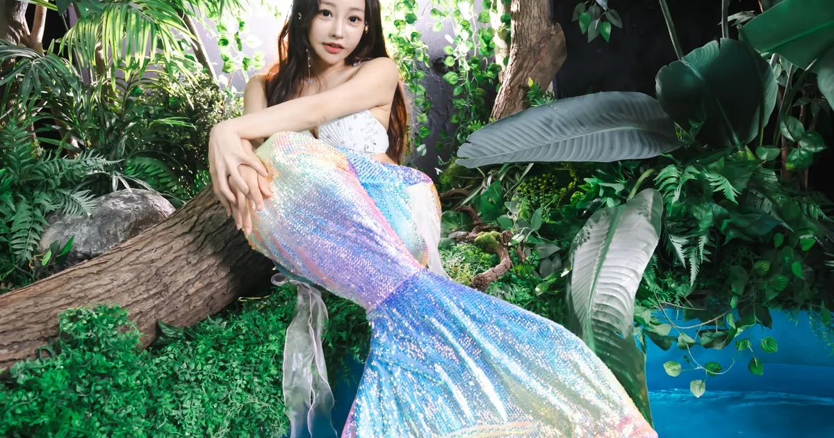 인어컨셉촬영 진소희 숨고 숨은고수