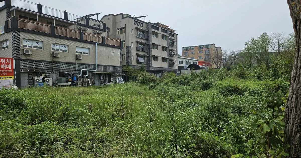 경기도 고양시 일산동구 한비감정평가사행정사 숨고 숨은고수