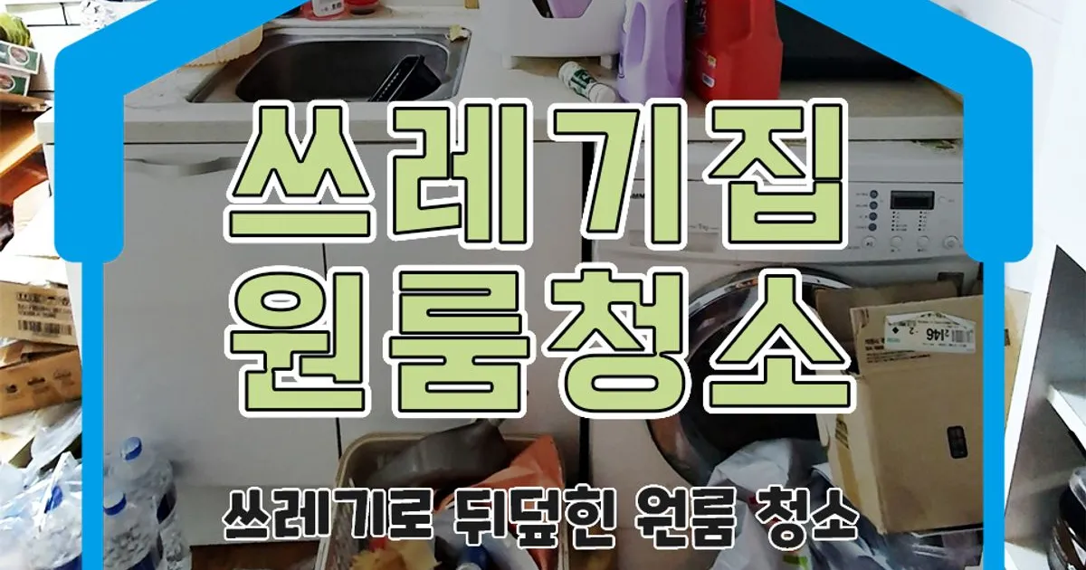 특수청소 쓰레기집 쓰레기로 뒤덮힌 원룸 청소 서진수 숨고 숨은고수
