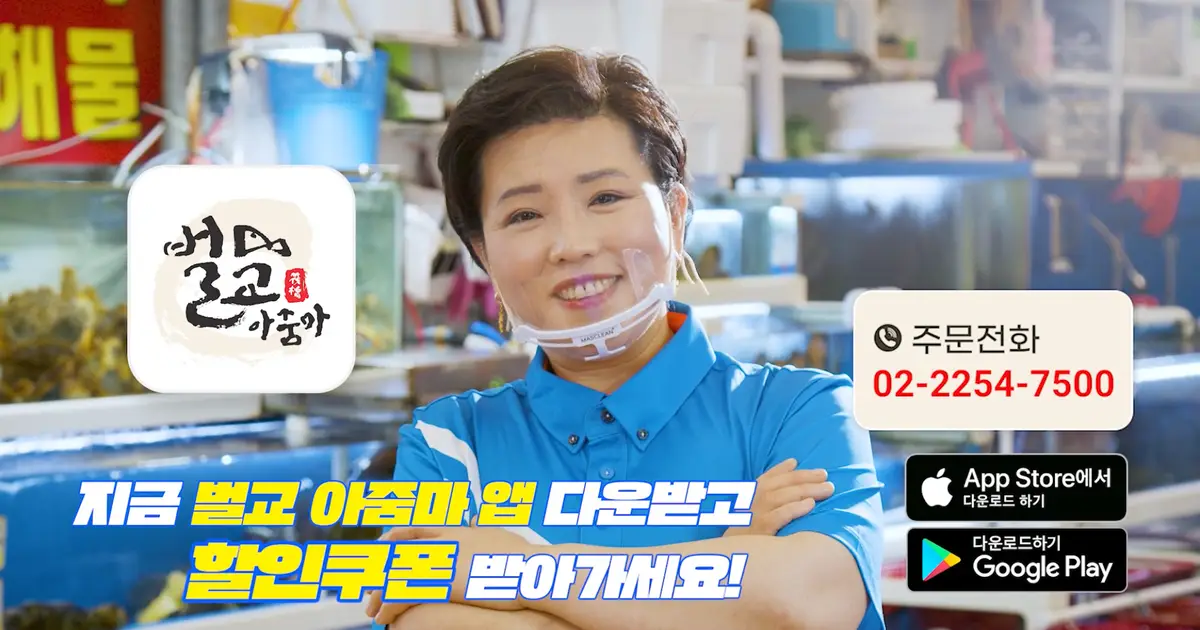 벌교아줌마 노량진 직송회 배송 서비스 홍보 영상 박형남 숨고 숨은고수