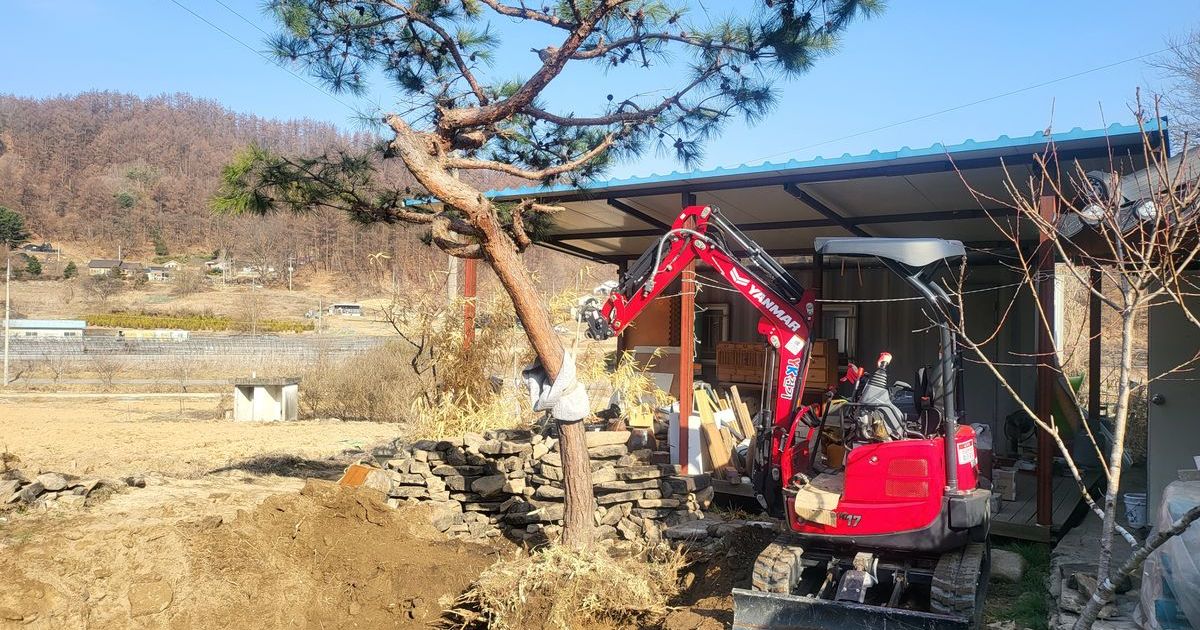 소나무 옮겨심기 혜성건설중기 숨고 숨은고수