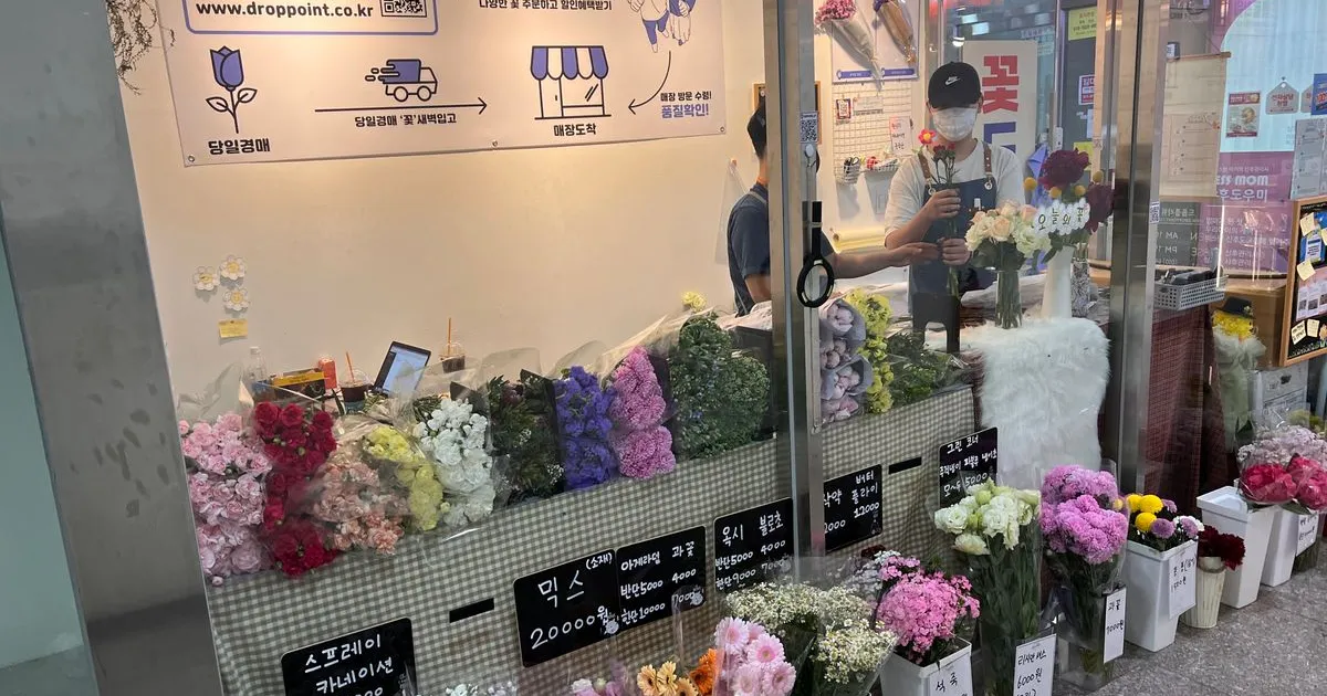 꽃 도매가로 전해드립니다 장준현 숨고 숨은고수