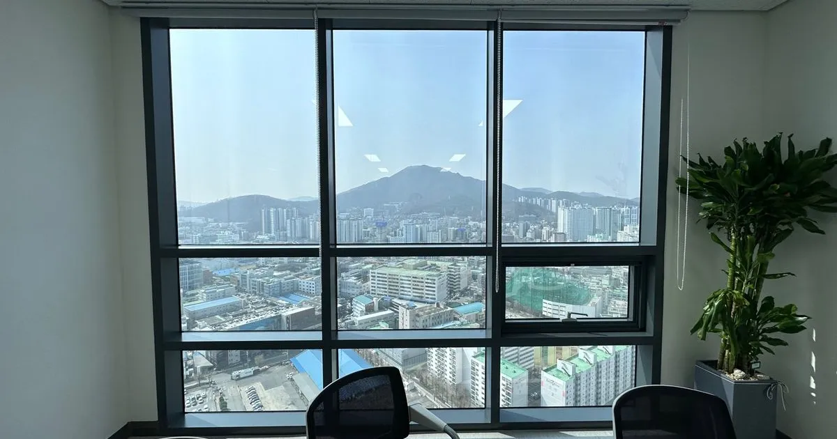 금천구 가산 사무실 필름작 국대필름 숨고 숨은고수