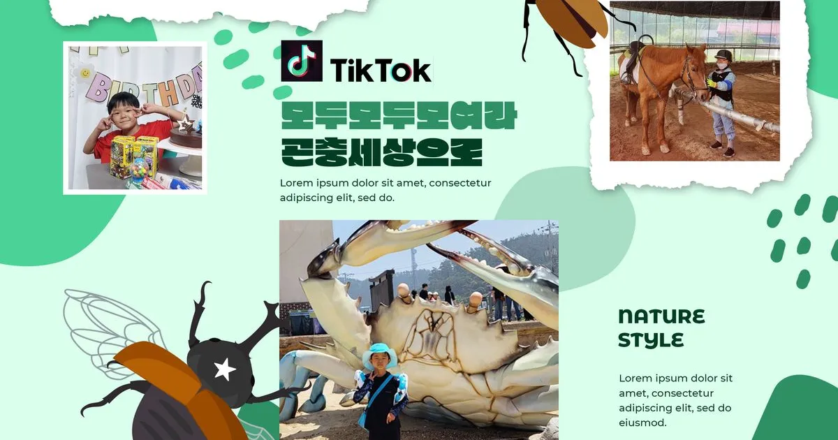 인스타그램 사진퍼즐 비비드드림 숨고 숨은고수