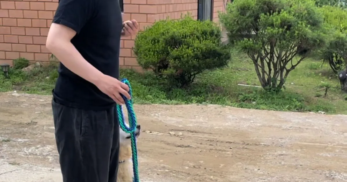 기본행동교육신책기본교육 박하루키 숨고 숨은고수