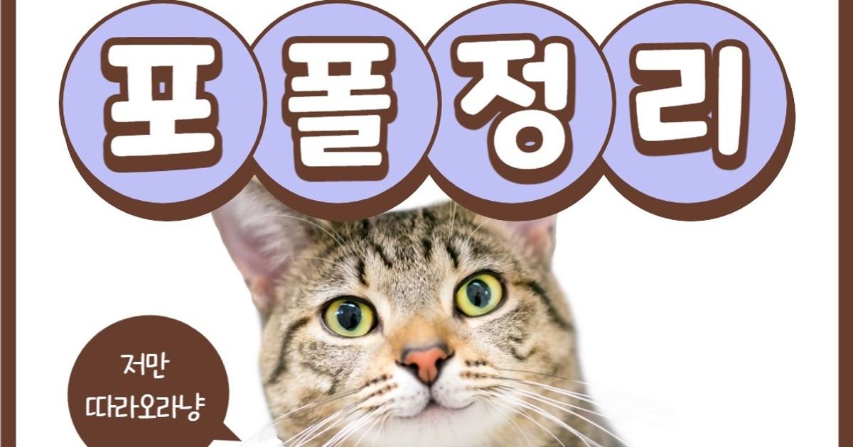 과외 경력 및 능력 요약 최희원 숨고 숨은고수