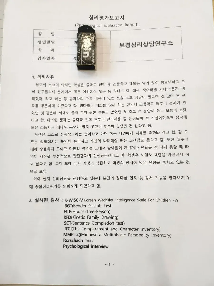 종합심리평가 보고서 보경심리상담연구소 숨고 숨은고수