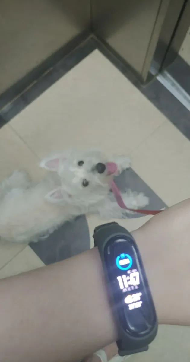 장기 방문 돌봄 2주 우지연 숨고 숨은고수