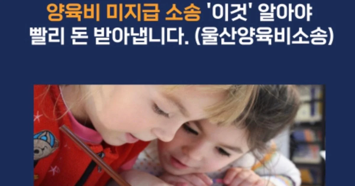 법률사무소 양육비 소송 포스팅 장진실 숨고 숨은고수