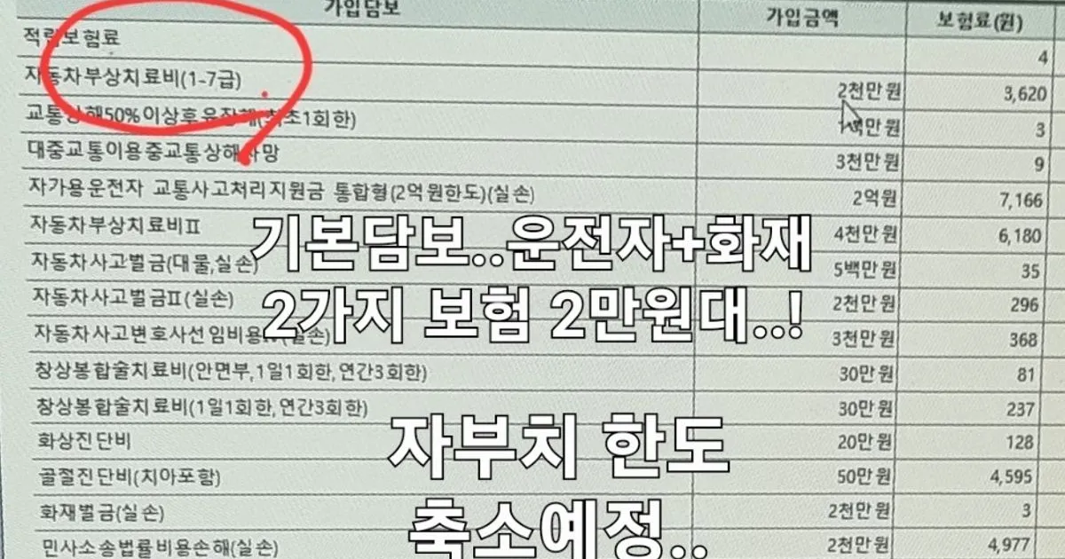 운전자화재 보험 필수 기본 담보로 합쳐 월2만원대 임진희 숨고 숨은고수