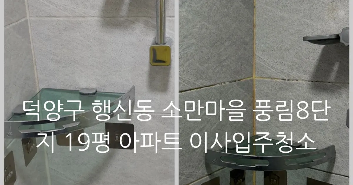 덕양구 행신동 소만마을 풍림아파트 19평 매일클린업블로그매일클린업 숨고 숨은고수