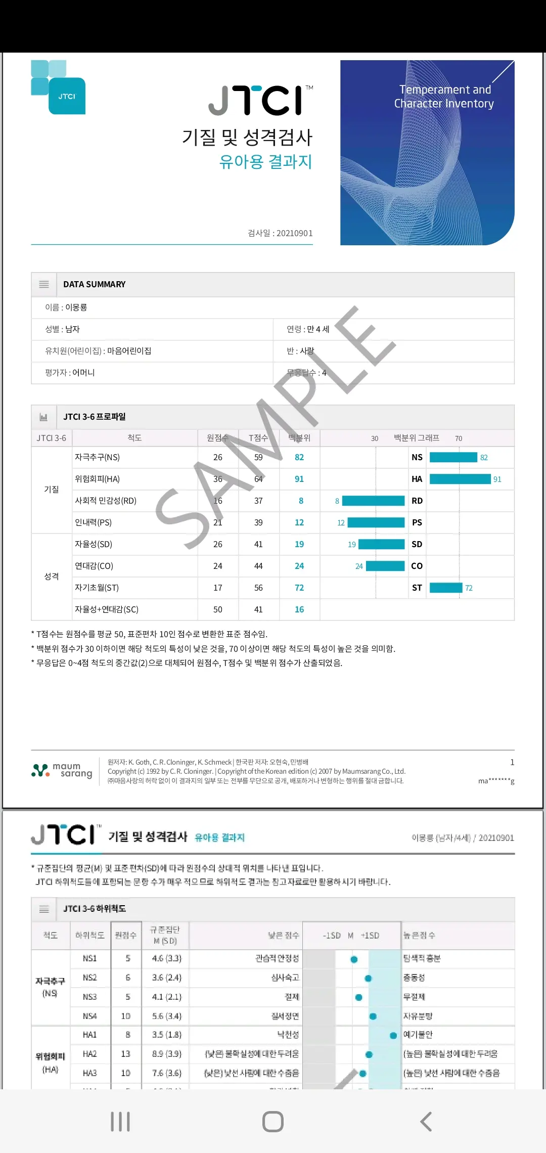 TCI기질 및 성격검사 결과(2p)해석상담보고서(6p) / 조이엘 - 숨고, 숨은고수