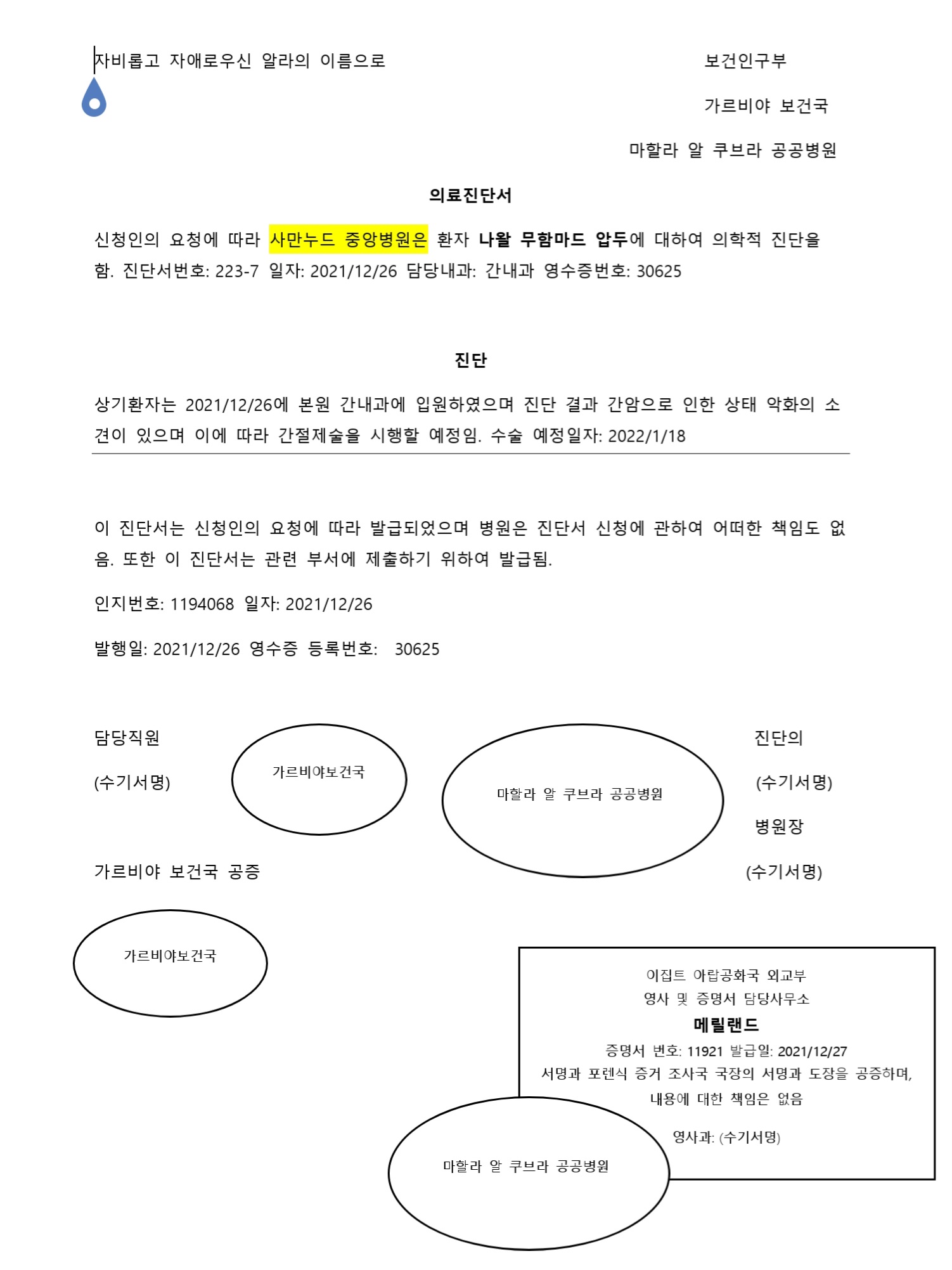 출입국사무소 제출용 서류 번역 이현정 숨고 숨은고수
