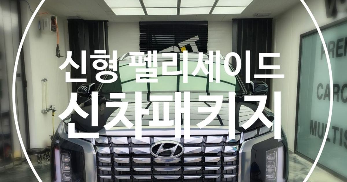 펠리세이드 신차패키지 글라스틴트and애니가드 보이트 화성 향남점 숨고 숨은고수