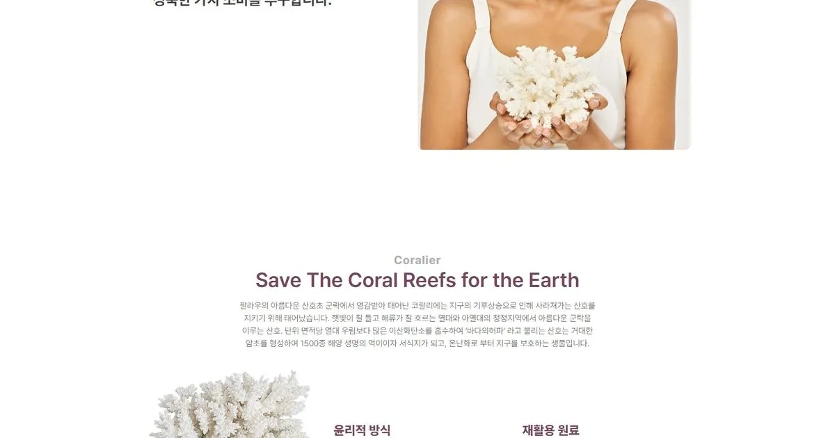 코랄리에 홈페이지 제작 엔베스트 숨고 숨은고수