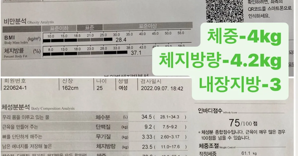 인바디 전후 체중 전후 비교 김희연 숨고 숨은고수