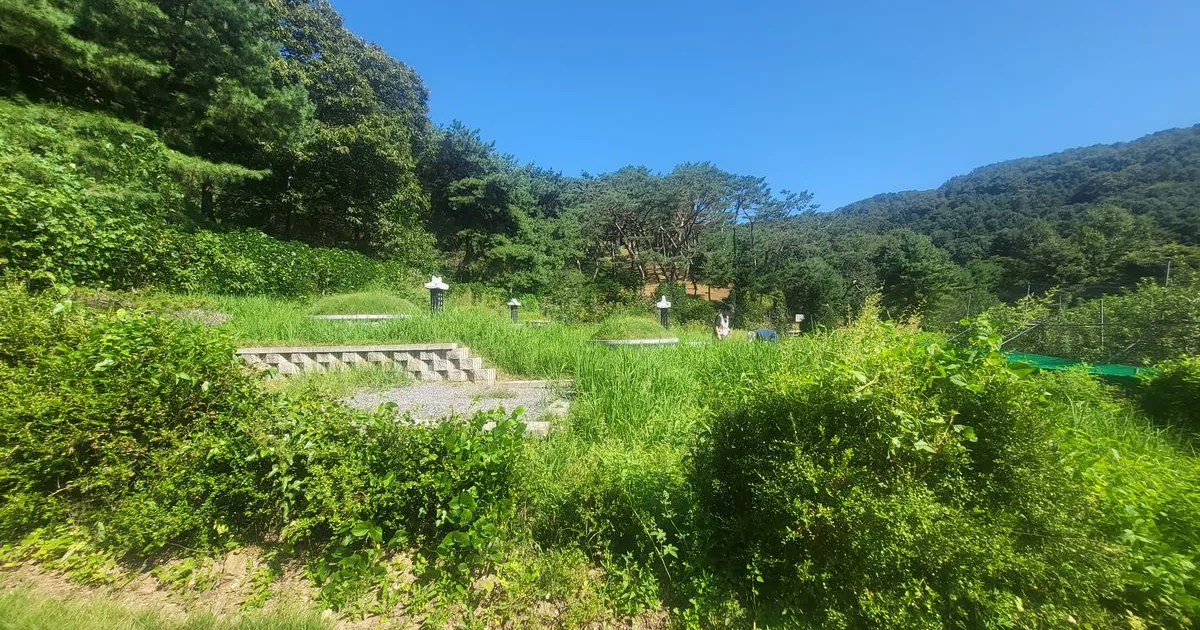 남양주 진접읍 장현리 봉분 2기 김상범 숨고 숨은고수
